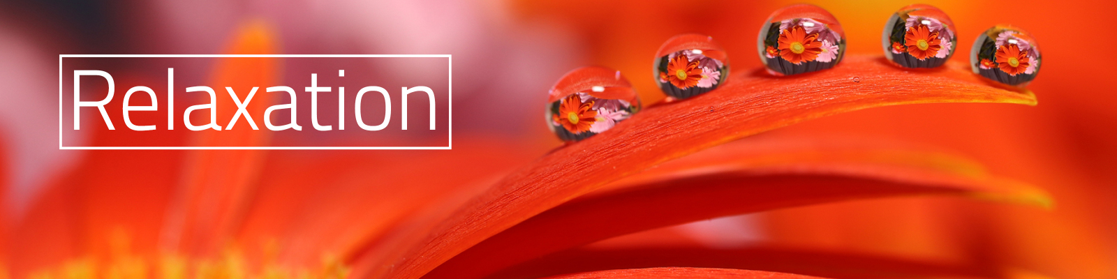 Home | Cambridge Buddhist Centre